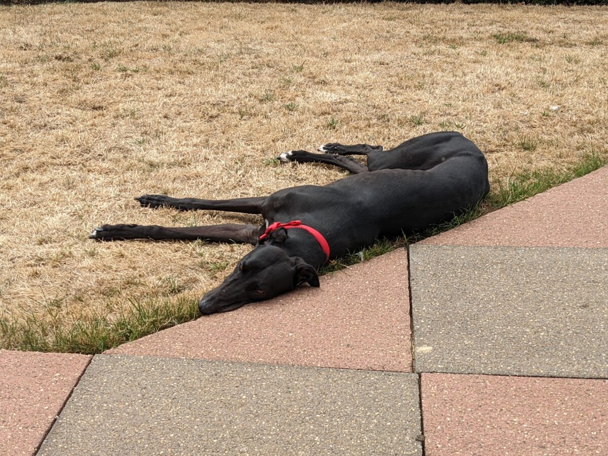 Kerry Buckley – What’s the simplest thing that could possibly go wrong?